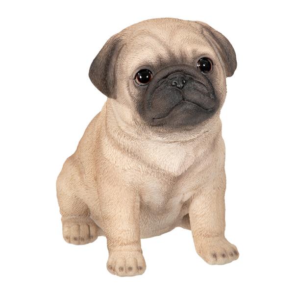 メーカー：ウービア お座りパグ（中）　オーナメント　オブジェ　ガーデニング　4582756132243　20240404　y24ｍ04　akst　雑貨　置物　パグ　犬　イヌ　いぬ　園芸　動物　かわいい　リアル　小さい　ギフト　インテリア　フ...