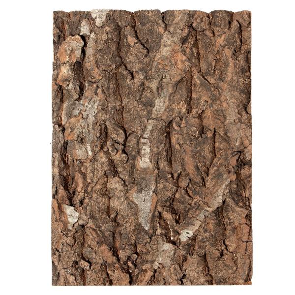 テラリウム用　コルクバックパネル　Ｗ２０×Ｈ３０ｃｍ水槽用　4582645941277　爬虫類　両生類　レイアウト　パネル　背面パネル　樹皮　テラリウム　ビバリウム　パルダリウム　資材　木製　コルクボード　テラスペース　ジオ　自然　活着　ラ...