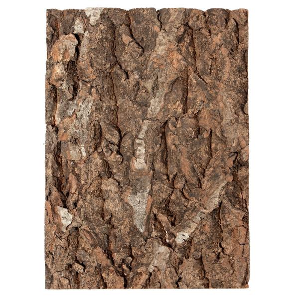 テラリウム用　コルクバックパネル　Ｗ２０×Ｈ１５ｃｍ水槽用　4582645941260　爬虫類　両生類　レイアウト　パネル　背面パネル　樹皮　テラリウム　ビバリウム　パルダリウム　資材　木製　コルクボード　テラスペース　ジオ　自然　活着　ラ...