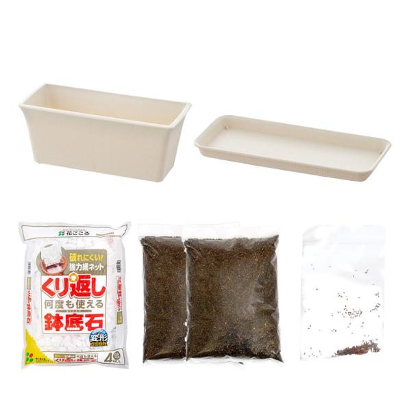 オオバコ栽培セット！　小動物　リクガメ　ハーブ　栽培セット　set_ptgs　生牧草　生　牧草　ペットリーフ　猫草　植え替え　育成　栽培　プランター　用土　育成セット　オオバコ　セット　種まき　sp_usayama　_todayCHK　育て...