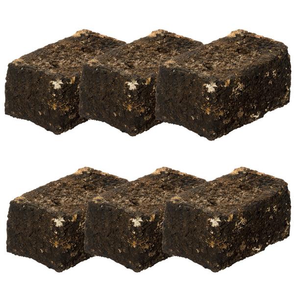 メーカー：(株)リーフ Leaf Corp 廃菌床ブロック　6個　2250003075170　4582645940676　昆虫　カブトムシ　育成　マット　幼虫用マット　カブトムシマット　未発酵　シイタケ　産卵　ブリード　ヘラクレス　ネプチュ...