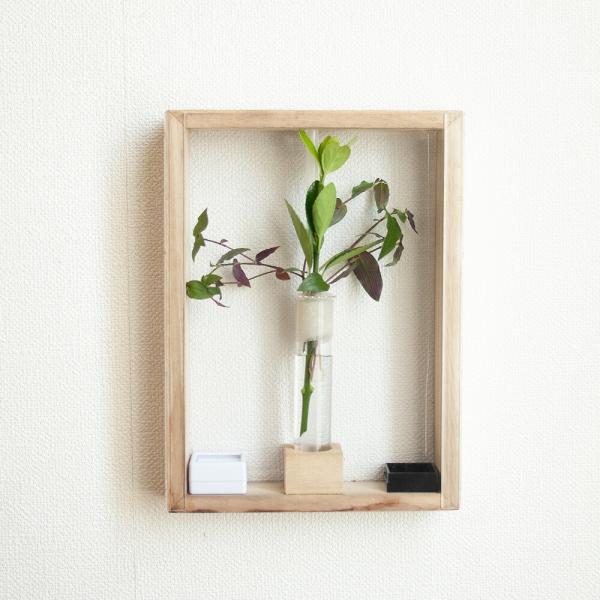 クサヒバリが飼育できる！　小型鳴き虫用アートフレームＤＩＹキット　ナチュラル　産卵植物付き　4582645941314　昆虫　鳴き虫　飼育セット　飼育キット　ＤＩＹ　作成キット　カンタン　クサヒバリ　ヒバリモドキ　ヤマトヒバリ　アートフレー...