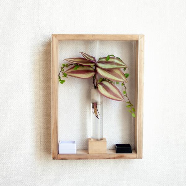 ヤマトヒバリが飼育できる！　小型鳴き虫用アートフレームＤＩＹキット　ナチュラル　産卵植物付き　4582645941314　昆虫　鳴き虫　飼育セット　飼育キット　ＤＩＹ　作成キット　カンタン　クサヒバリ　ヒバリモドキ　ヤマトヒバリ　アートフレ...