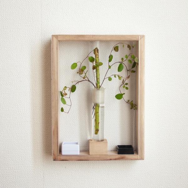 カンタンが飼育できる！　小型鳴き虫用アートフレームＤＩＹキット　ナチュラル　産卵植物付き　4582645941314　昆虫　鳴き虫　飼育セット　飼育キット　ＤＩＹ　作成キット　カンタン　クサヒバリ　ヒバリモドキ　ヤマトヒバリ　アートフレーム...