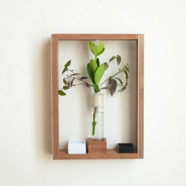 クサヒバリが飼育できる！　小型鳴き虫用アートフレームＤＩＹキット　ダークブラウン　産卵植物付き　4582645941321　昆虫　鳴き虫　飼育セット　飼育キット　ＤＩＹ　作成キット　カンタン　クサヒバリ　ヒバリモドキ　ヤマトヒバリ　アートフ...