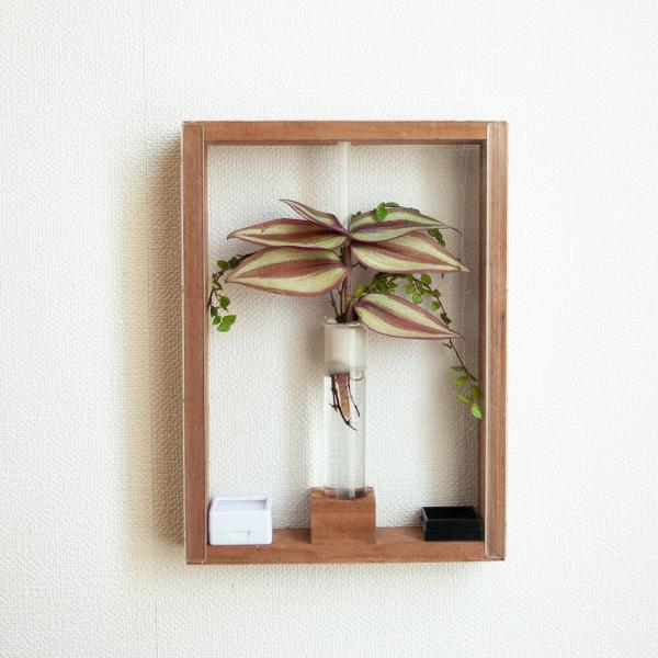 ヤマトヒバリが飼育できる！　小型鳴き虫用アートフレームＤＩＹキット　ダークブラウン　産卵植物付き　4582645941321　昆虫　鳴き虫　飼育セット　飼育キット　ＤＩＹ　作成キット　カンタン　クサヒバリ　ヒバリモドキ　ヤマトヒバリ　アート...