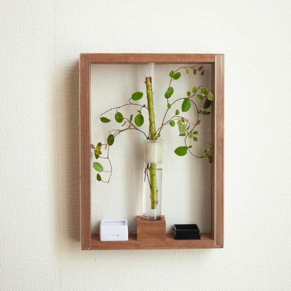 カンタンが飼育できる！　小型鳴き虫用アートフレームＤＩＹキット　ダークブラウン　産卵植物付き　4582645941321　昆虫　鳴き虫　飼育セット　飼育キット　ＤＩＹ　作成キット　カンタン　クサヒバリ　ヒバリモドキ　ヤマトヒバリ　アートフレ...