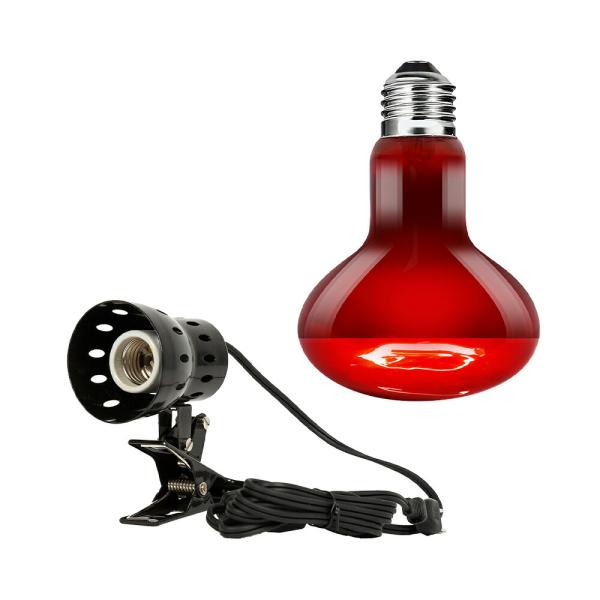 メーカー：三晃商会 三晃商会　ＲＥＰＴＩＺＯＯ　赤外線保温バスキングスポットランプ　１００Ｗ　集光型　Ｅ２６　爬虫類　ライト　4976285147845　トカゲ　フトアゴ　フトアゴヒゲトカゲ　リクガメ　ヘルマンリクガメ　ギリシャリクガメ　ケ...