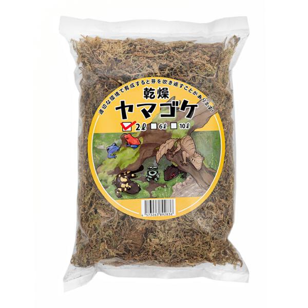 メーカー：邑楽ファーム paludariumplants　パルダリウム　テラリウム　ＴＨＥ　ヤマゴケ　２Ｌ　両生類　爬虫類　用品　山苔　苔　コケ　乾燥ゴケ　乾燥　レイアウト　ビバリウム　保湿　ヤドク　ヤドクガエル　カエル　イエアメガエル　ツ...