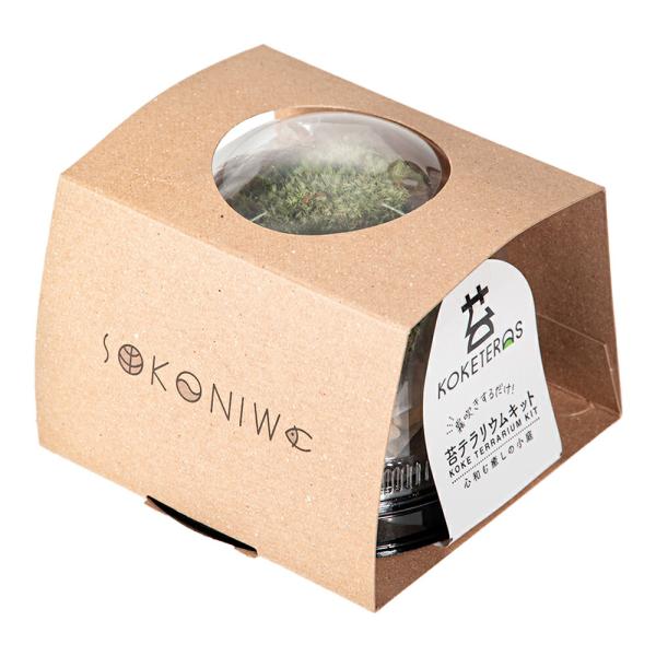 メーカー：水作 sokoniwa　水作　コケテラス　苔テラリウムキット　ガーデニング　ガーデニング用品　園芸用品　園芸　テラリウム　苔テラリウム　苔テラ　テラリウム容器　ガラス　テラリウム用品　テラリウム容器　4974105201364　2...