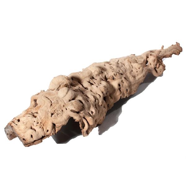 メーカー：(株)リーフ Leaf Corp line250910p510anim　形状お任せ　天然木の隠れ家シェルター　Ｍ　コーヒーの木　4589498996331　小動物　爬虫類　両生類　トカゲ　ヤモリ　蛇　hwlist　内職　リーフコー...