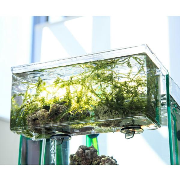 アクアリウム用品　アクア用品　アクアリウム　アクア　海水　海水用品　飼育　飼育セット　飼育スターターセット　スタートセット　スターターセット　飼育スタートセット　リフジウム　リフジウムセット　熱帯魚　小型　小型魚　小型水槽　サブ水槽　サブ水...