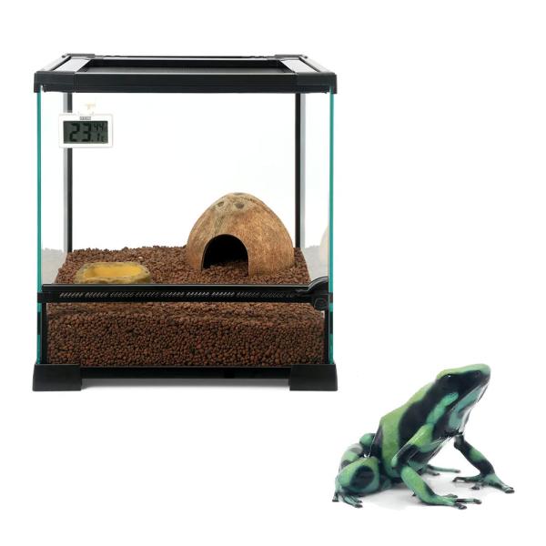 カエル　生体　_hachu　sfset　Dendrobatidae　オタマ　両生　両爬生体　amp_Frog　amp_Land_Frog　terra_seitai　kokuubinn_ng　frog_ydk　kaijyo　poison_da...