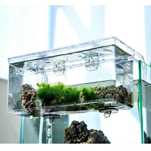 アクアリウム用品　アクア用品　アクアリウム　アクア　海水　海水用品　飼育　飼育セット　飼育スターターセット　スタートセット　スターターセット　飼育スタートセット　リフジウム　リフジウムセット　熱帯魚　小型　小型魚　小型水槽　サブ水槽　サブ水...