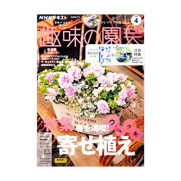 メーカー：ＮＨＫ出版 NHK趣味の園芸　2025年4月号　特集　春を満喫!ウキウキ寄せ植え　観葉植物　書籍　雑誌　趣味　園芸　NHK　4月　観葉　植物　多肉　多肉植物　サボテン　多肉栽培　20250325　kak　y25m03　491006...