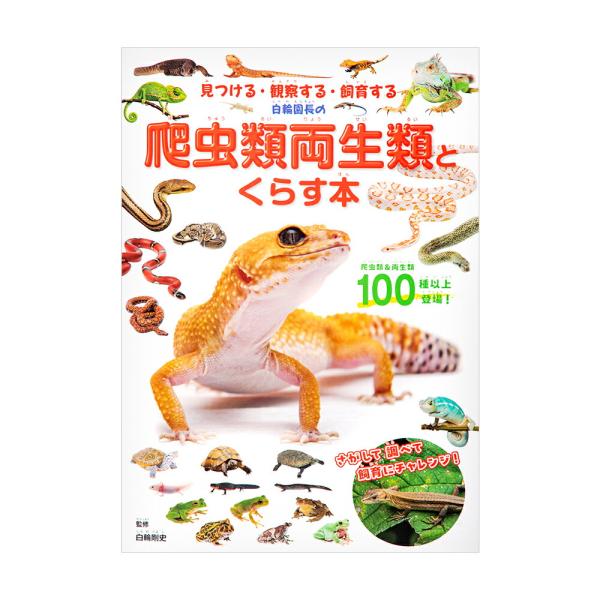 書籍　本　両生類　爬虫類　フトアゴ　トカゲ　ヒゲ　エムピージェー　爬虫類両生類とくらす本　爬虫類飼育　両生類飼育　飼育本　飼育　育成　初心者　図鑑　入門　入門書　やさしい　優しい　わかりやすい　白輪園長　9784911501009　2025...