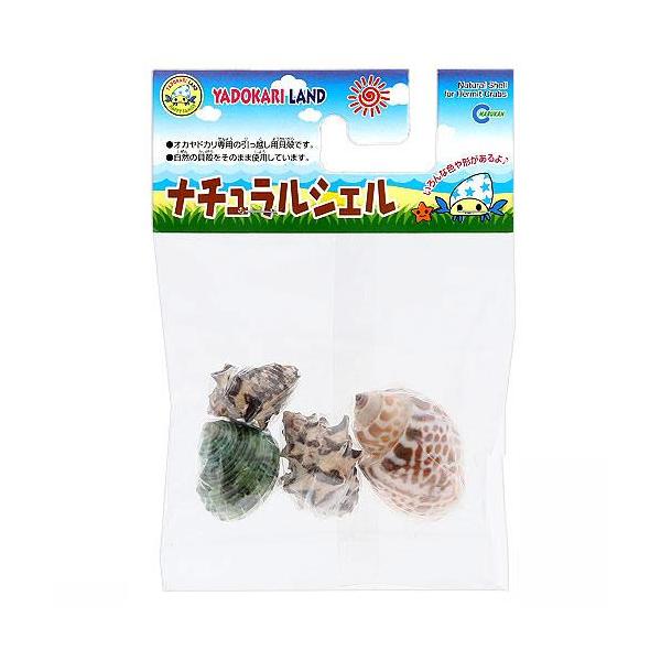 メーカー：マルカン _animal　_aqua　_insect　マルカン　ナチュラルシェルS　NAKG　ナチュラル　シェル　オカヤドカリ　ヤドカリ　天然貝殻　天然　貝殻　貝　引っ越し　引越し　S　Sサイズ　スモール　small　490645...