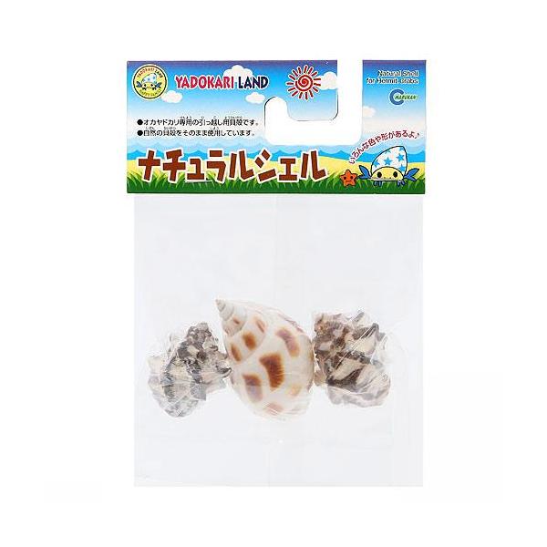 メーカー：マルカン _animal　_aqua　_insect　マルカン　ナチュラルシェルＳ　ＮＡＫＧ　ナチュラル　シェル　オカヤドカリ　ヤドカリ　天然貝殻　天然　貝殻　貝　引っ越し　引越し　Ｓ　Ｓサイズ　スモール　ｓｍａｌｌ　490645...