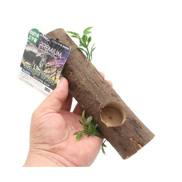 メーカー：フジコン _insect　4977097260968　フジコン　ジャングルウッド　20160724　OJIR　昆虫　のぼり木　エサ皿・のぼり木・隠れ家　大型　外産昆虫　リーフ付き　ディスプレイ　かわいい　おしゃれ　長い　ロング　ワ...