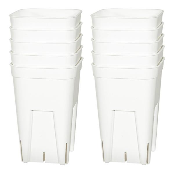 メーカー：ニッポリ プレステラ　７５型　黒　303820用　スリット鉢　ガーデニング　園芸用品　鉢　ポット　苗ポット　育苗　３号　１０５型　プラ鉢　プラステ　スリッド　スリット　プラポット　緑　硬め　プラスチック　多肉植物　多肉　エケベリア...