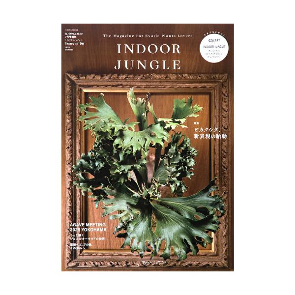 メーカー：エムピージェー ＩＮＤＯＯＲ　ＪＵＮＧＬＥ　インドア・ジャングル２０２５　Ｎｏ．６　書籍　4910177960754　20250807　ｙ25ｍ08　mikari　インドアグリーン　観葉植物　植物　ジュエルオーキッド　ビカクシダ　...