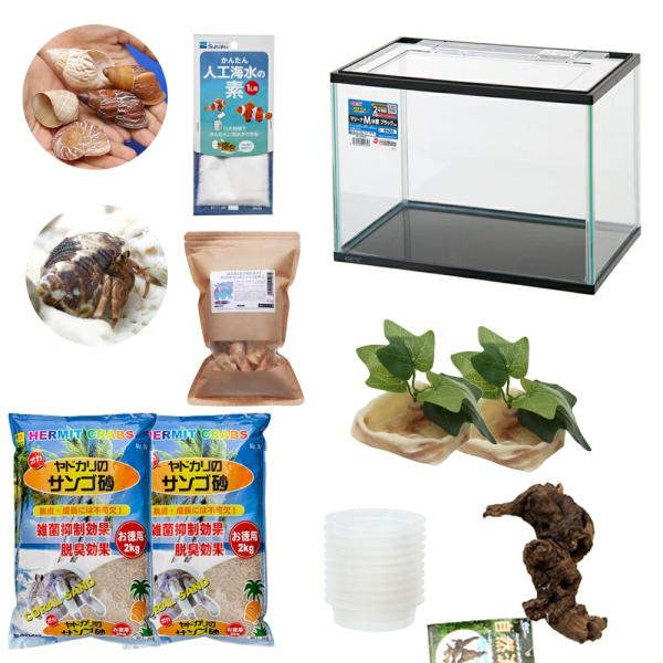 osminstartset　飼育用品セット　オカヤドカリ　飼育セット　ヤドカリ　甲殻類　小動物・鳥　tsbsメダカ　水槽　メダカ水槽　水槽セット　アクアリウム　opa2_choku　初心者向け　初心者　ビギナー　自由研究　やどかり　おかやど...