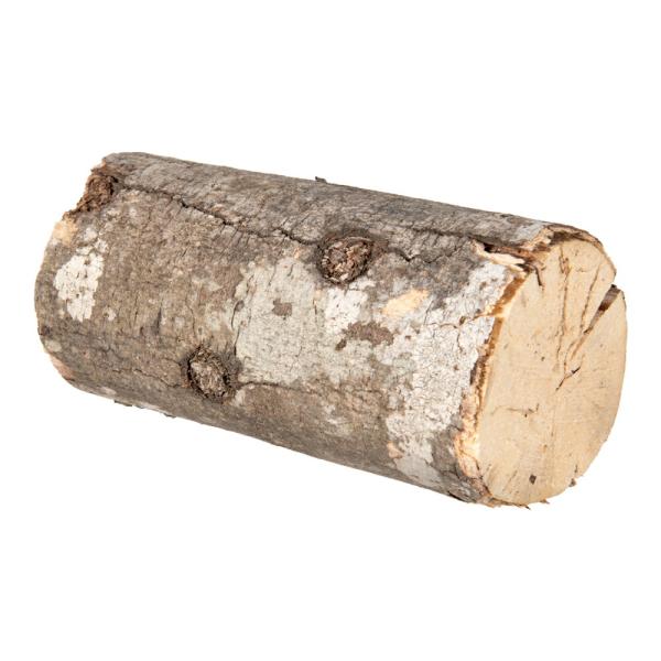 メーカー：ミタニ ミタニ　カエデ産卵木　Ｍ　中目　良材　2250003597955　20251028　y25m10　ktym　産卵　産卵木　昆虫　クワガタ　木　ブリード　クワガタ虫　材　産卵材　メープル　楓　カエデ　昆虫用品　用品　mapl...