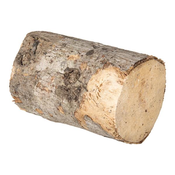 メーカー：ミタニ ミタニ　カエデ産卵木　Ｌ　太目　良材　2250003597962　20251028　y25m10　ktym　産卵　産卵木　昆虫　クワガタ　朽ち木　木　ブリード　クワガタ虫　材　産卵材　メープル　楓　カエデ　昆虫用品　用品　...