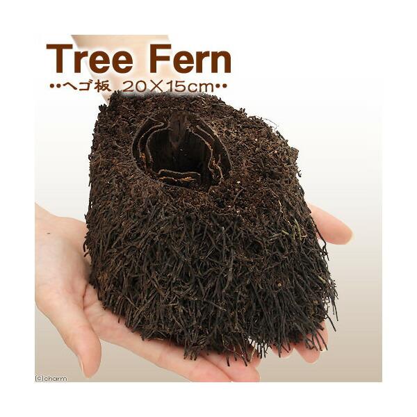 メーカー：(株)リーフ Leaf Corp naisyoku_syukei　usa_se　MS34　ガーデニング　園芸用品　１２コンテナ　鉢　ディスプレイ用品　ディスプレイ小物　ディスプレイ　爬虫類　レイアウト　レイアウト用品　ビバリウム　...