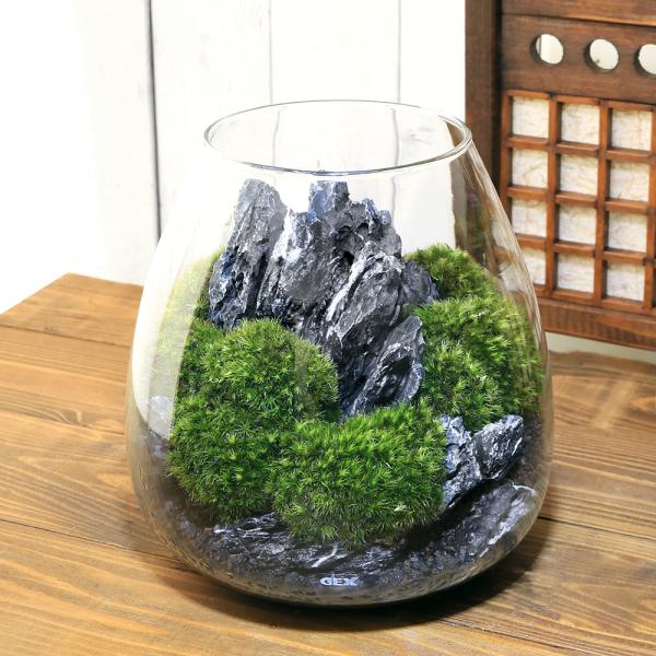 interioraquaglass　ジェックス　観葉植物　レイアウト済　ＧＥＸ　グラスアクアリウム　ティア　Ａセット　4972547032607　ａｑｕａ　アクア用品　ガラス　ボトル　ボトルアクア　ボトルアクアリウム　容器　ガラス容器　ガラ...