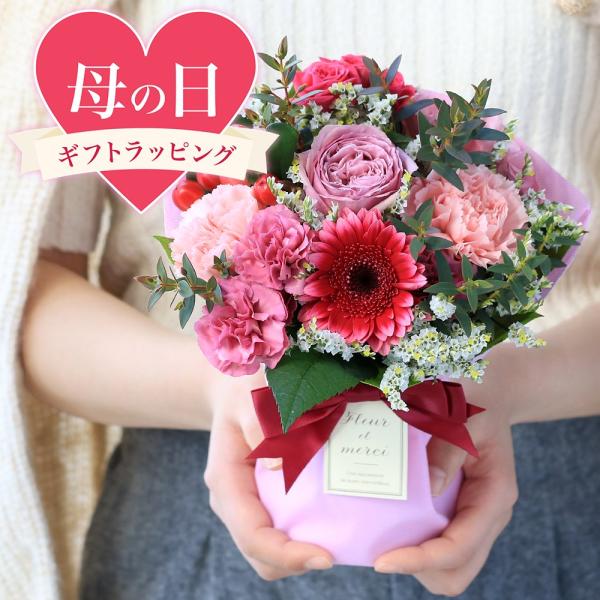 ●母の日ギフト●　●母の日ギフト2026●　_gardening　_interior　（観葉植物）　smset　インテリア　インテリア・雑貨他　ガーデニング　ガーデニング生体　ギフト　グリーン　プレゼント　育て方　育成方法　栽培方法　植物　...