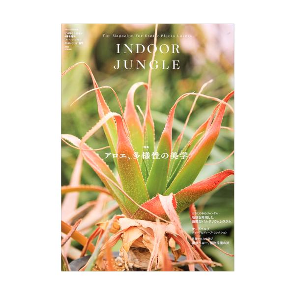 メーカー：エムピージェー ＩＮＤＯＯＲ　ＪＵＮＧＬＥ　インドア・ジャングル２０２６　Ｎｏ．９　書籍　4912177960468　ビバリウムガイド　インドアグリーン　観葉植物　塊根植物　植物　雑誌　本　エムピージェー　アロエ　アロエベラ　キダ...