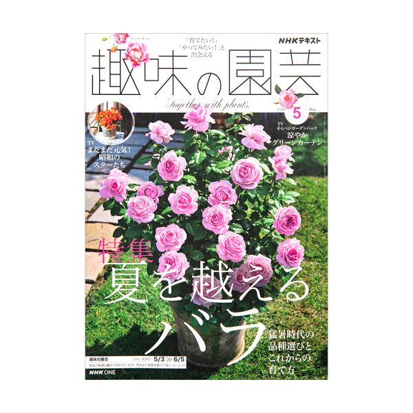 メーカー：ＮＨＫ出版 ＮＨＫ趣味の園芸　２０２６年５月号　特集　夏を越えるバラ　4912064570565　書籍　雑誌　趣味　園芸　NHK　ガーデニング　バラ　バラ菜園　バラ園　昭和のスター　猛暑　品種選び　グリーンカーテン　夏　シュラブ　...