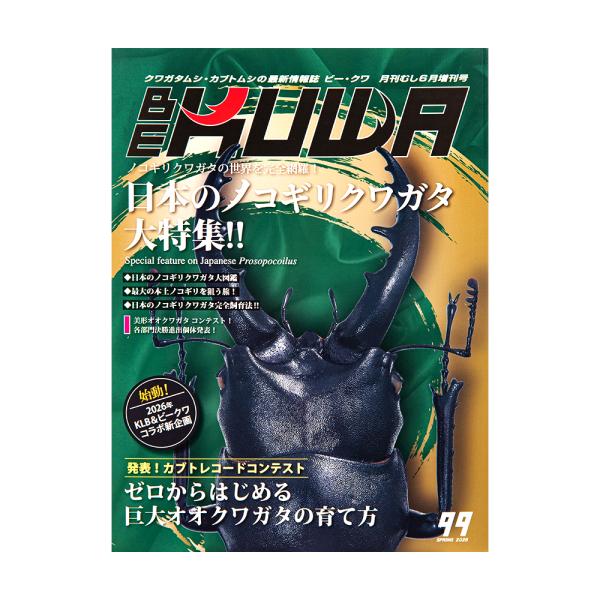 メーカー：むし社 ビークワ　ＢＥ−ＫＵＷＡ　９９　（２０２６）　春号　bekuwa　4912085160660　20260429　y26m04　mikari　昆虫　クワガタムシ　カブトムシ　飼育　飼育方法　ブリード　書籍　本　雑誌　昆虫用品...