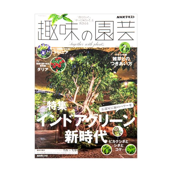 メーカー：ＮＨＫ出版 ＮＨＫ趣味の園芸　２０２６年７月号　4912064570763　書籍　雑誌　趣味　園芸　NHK　ガーデニング　インドアグリーン　インドア　インテリア　屋内　シダ　シダ植物　ビカクシダ　コケ　苔　ダリア　ヘメロカリス　雪...