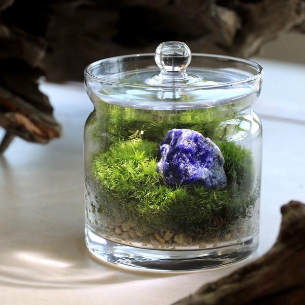 line2462terarium　interioraquastone　koketera　terrarium　テラリウム　テラリウムガラス　テラリウムキット　ガーデニング　観葉植物　苔テラリウム　コケテラリウム　苔盆栽　グラスアクア　インテリ...