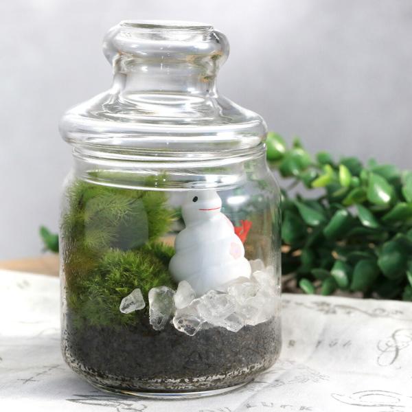 line2462terarium　interioraquastone　koketera　terrarium　テラリウム　テラリウムガラス　テラリウムキット　ガーデニング　観葉植物　苔テラリウム　コケテラリウム　苔盆栽　グラスアクア　インテリ...
