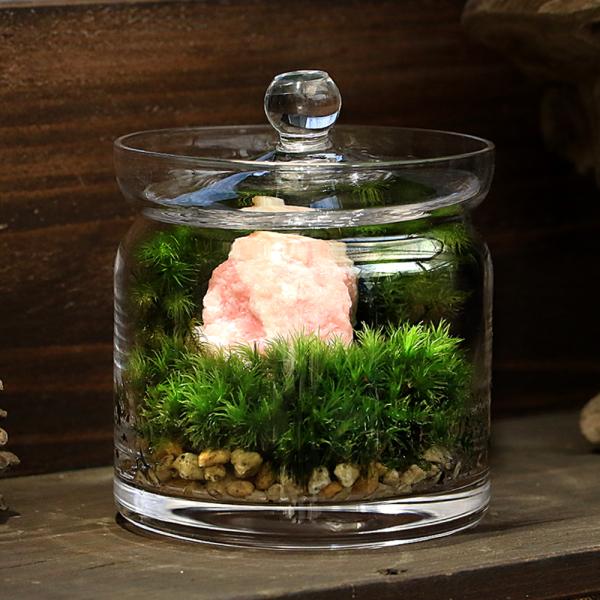 line2462terarium　interioraquastone　koketera　terrarium　テラリウム　テラリウムガラス　テラリウムキット　ガーデニング　観葉植物　苔テラリウム　コケテラリウム　苔盆栽　グラスアクア　インテリ...
