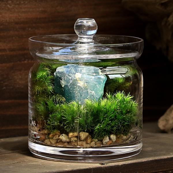 line2462terarium　interioraquastone　koketera　terrarium　テラリウム　テラリウムガラス　テラリウムキット　ガーデニング　観葉植物　苔テラリウム　コケテラリウム　苔盆栽　グラスアクア　インテリ...