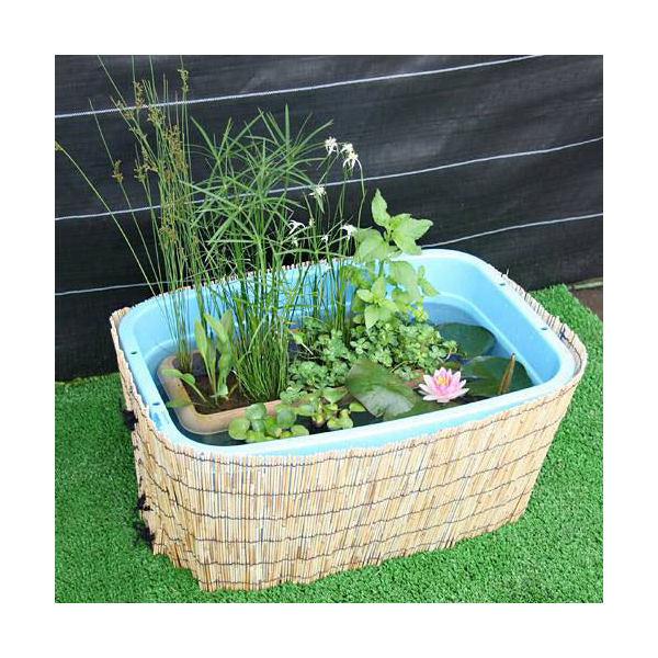 sfset　_aqua　スイレン　睡蓮　栽培　育て方　金魚藻　ビオトープ　水辺植物　水生植物　浮葉植物　ホテイ草特集　水草　浮き草　ホテイソウ　ホテイアオイ　タライビオセット　水玉　biotope_layout_set　hotei＆meda...