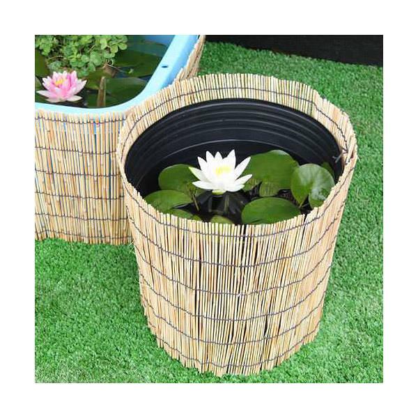 _aqua　_gardening　スイレン　睡蓮　栽培　育て方　タライで楽しむビオトープレイアウトセット　すだれ付き　ビオトープセット　メダカ　ハス　ビオトープ　レイアウトセット　タライビオセット　すだれ　biotope_layout_se...