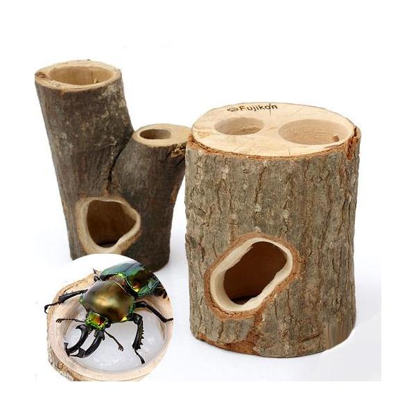 メーカー：フジコン 昆虫用品　飼育用品　のぼり木・エサ皿　カブト・クワガタ・用品　スズムシ　鈴虫　鳴き虫　エサ皿・のぼり木　insct_fooder　fujikon　昆虫のぼり木　_insect　ZVbOsIMD　4977097260982...