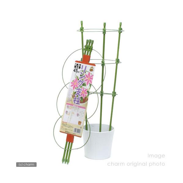メーカー：第一ビニール 支柱　ガーデニング　園芸用品　肥料　野菜　種まき　輪っか　リング　あさがお　クレマチス　asagao_goods　_gardening　4968438002118　opa2_delete　tomatobanner