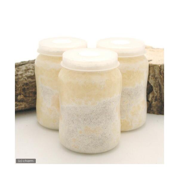 メーカー：(株)リーフ Leaf Corp coollogist　夏季クール対応　昆虫用品　kuwagatayotyuugood　ＸＬシリーズ　xlpot2300　カブトムシ　クワガタ　用品　菌糸ビン　産卵木他　hiratake　1500_...