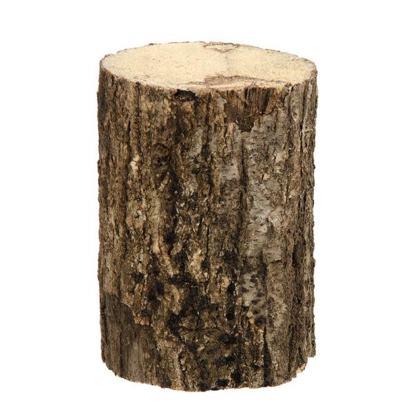 メーカー：(株)リーフ Leaf Corp ins0701leaf コナラ産卵木　ブリードシーズン　カブト・クワガタ・用品　菌糸ビン・産卵木他　産卵木　良材10ph1105昆虫10p1126昆虫　_insect　instop_jerry　h...