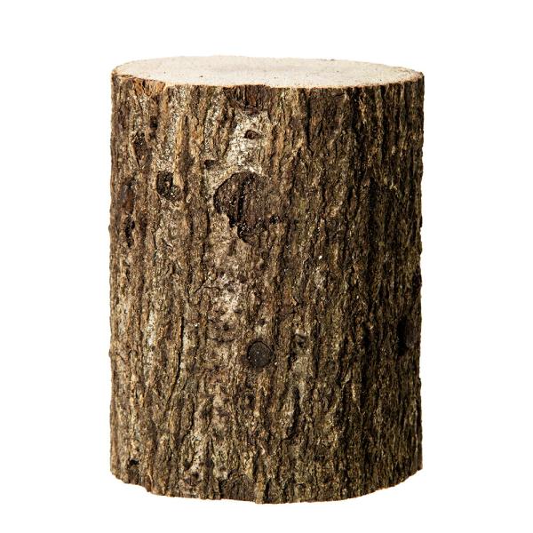 メーカー：(株)リーフ Leaf Corp ins0701leaf　　リーフコーポレーション　リーフコーポ　リーフ　ＬＥＡＦ　Corp　ブリードシーズン　カブト・クワガタ・用品　菌糸ビン・産卵木他　コナラ産卵木　並材　_insect　ins...