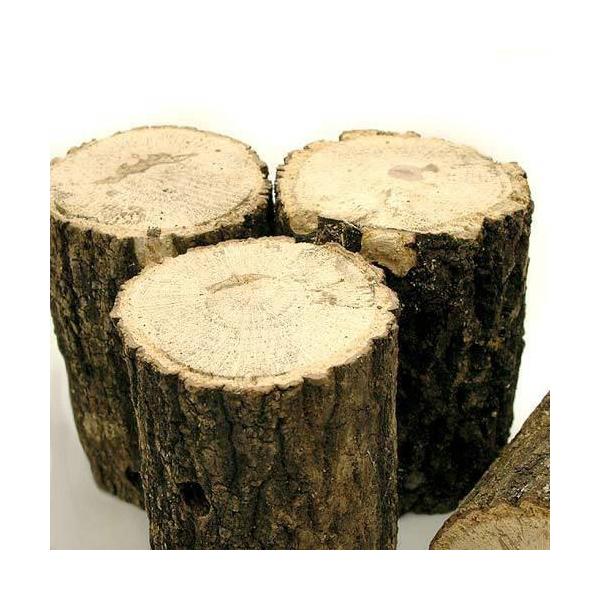 メーカー：(株)リーフ Leaf Corp ブリードシーズン　カブト・クワガタ・用品　菌糸ビン・産卵木他　クヌギ産卵木　並材　１２コンテナ　_insect　insect_tarinai　クヌギ　産卵木　中目　昆虫　クワガタ　opa2_del...