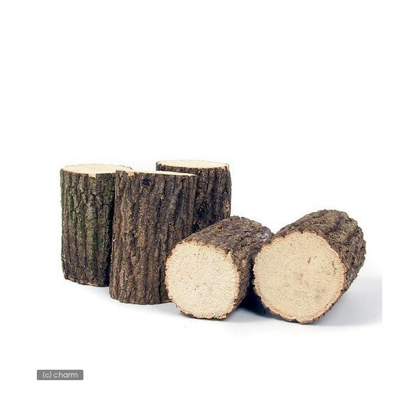 メーカー：(株)リーフ Leaf Corp コナラ産卵木　ブリードシーズン　カブト・クワガタ・用品　菌糸ビン・産卵木他　産卵木　クヌギ産卵木　良材　10by1105_h02ins　10ph1105昆虫　_insect　hw1fnslist　...