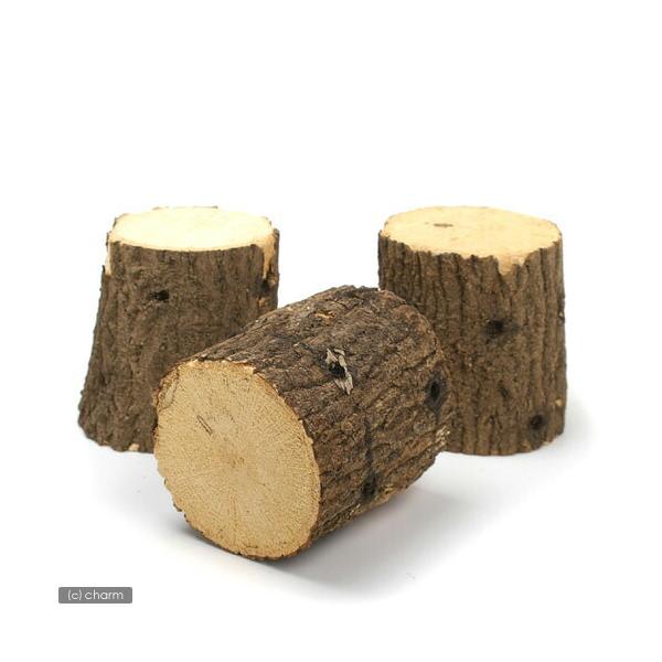 メーカー：(株)リーフ Leaf Corp コナラ産卵木　ブリードシーズン　カブト・クワガタ・用品　菌糸ビン・産卵木他　産卵木　クヌギ産卵木　良材　_insect　hw1fnslist　kuwata2024　wp2407leaf　pus25...