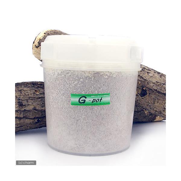 メーカー：フォーテック coollogist　夏季クール対応　昆虫用品　kuwagatayotyuugood　飼育用品　Ｇ―ｐｏｔシリーズ　カブト　クワガタ　菌糸ビン　産卵木他　500_1500　菌糸ビン500_1500　菌糸ビンＧ―ｐｏｔ...